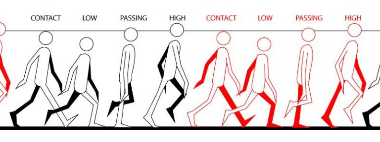 Week 3: whole body walk cycle and constraints | XHong MA 3D computer ...
